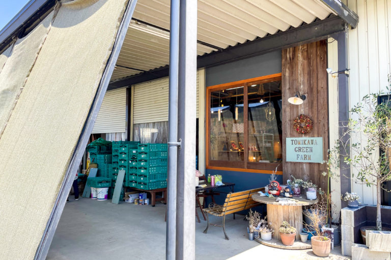 トマト農家のカラフルトマトにひとめ惚れ！『TOMIKAWA GREEN FARM』 - しがトコ